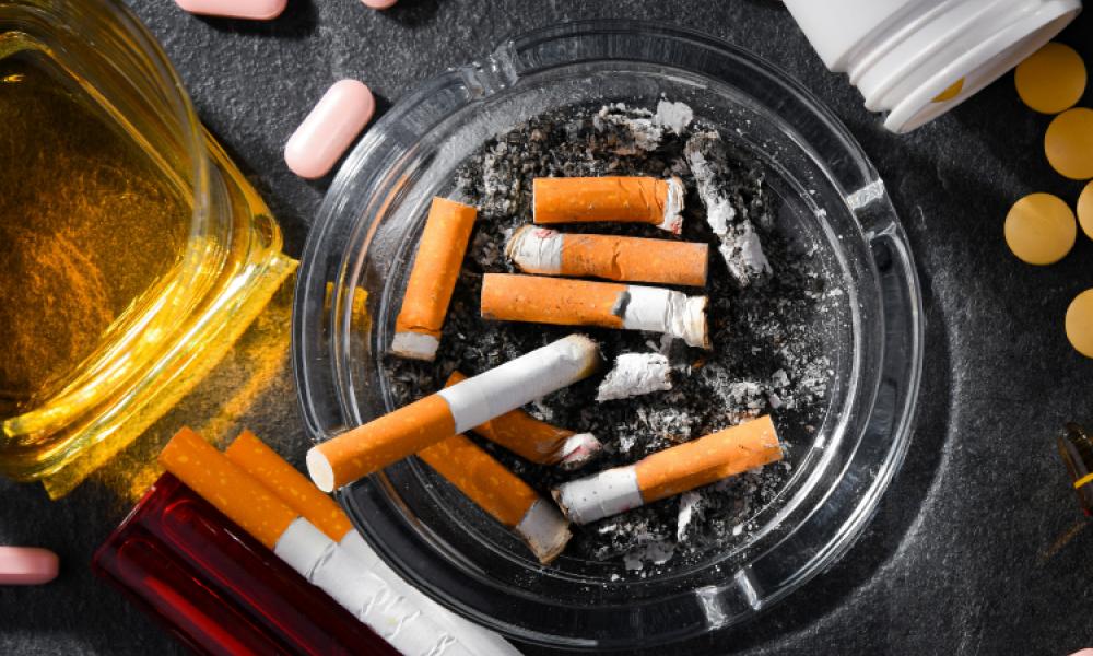 Catalogue d'articles accrédités - Braintop